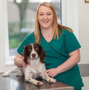 The Sidings Veterinary Surgery - Meet the team at The Sidings - Caring ...
